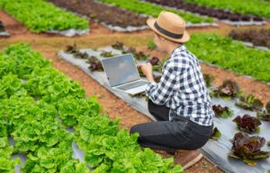 How to Get Internet in Rural Areas 2021 - ISP Family